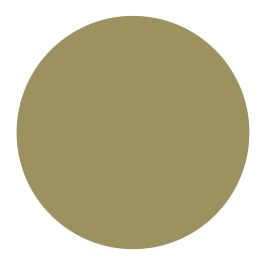 Morris & Co Twining Vine Chalky Matt Paint | Jane Clayton