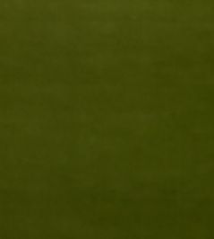 Mulberry Home Fabric | Jane Clayton