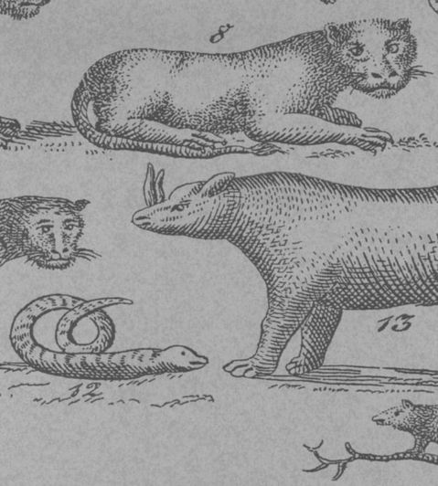 Andrew Martin Wallpaper | Jane Clayton