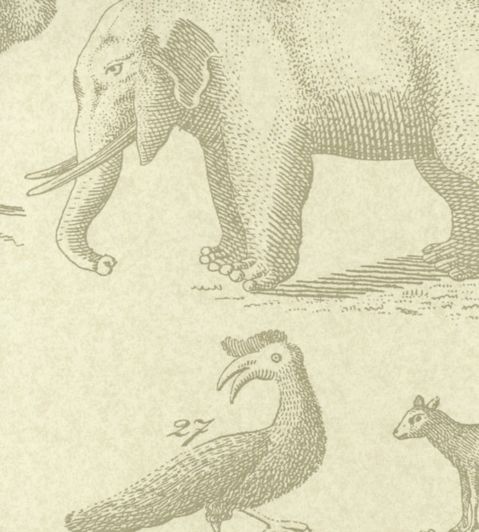 Andrew Martin Wallpaper | Jane Clayton