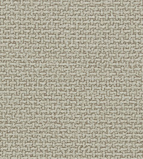 Harlequin Fabric | Jane Clayton