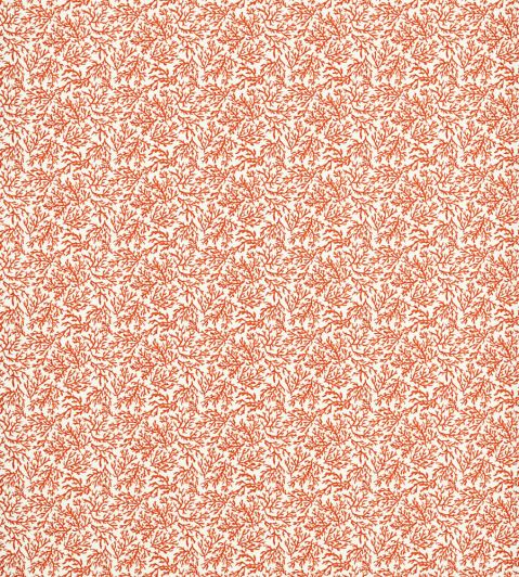 Studio G Fabric | Jane Clayton