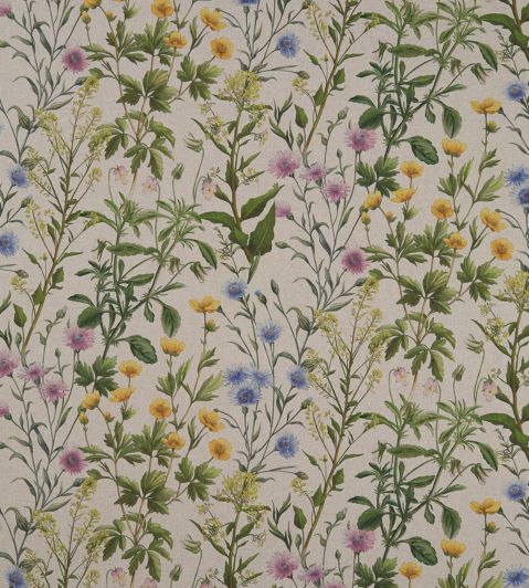 Studio G Fabric | Jane Clayton