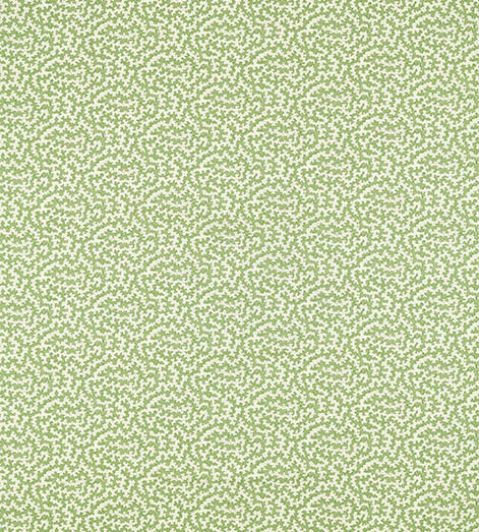 Green Fabric | Dark & Light Green Fabric | Jane Clayton