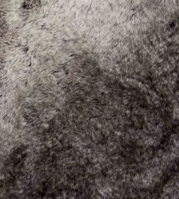 Accalia FR Fabric in Wolf by Warwick | Jane Clayton