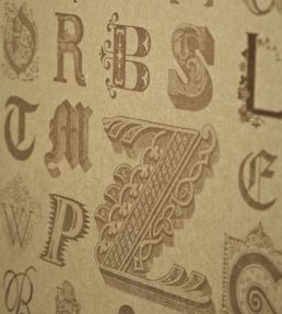 Typecast Wallpaper by Barneby Gates in Vintage Gold | Jane Clayton