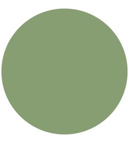 Sanderson Botanical Green Active Emulsion Paint | Jane Clayton