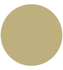 Sanderson Caraway Green Active Emulsion Paint | Jane Clayton