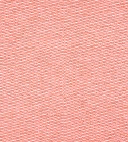 Clara Fabric in Coral by Thibaut | Jane Clayton