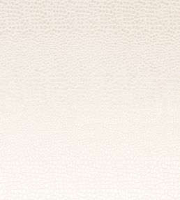 Pulse Fabric by Clarke & Clarke in Pearl | Jane Clayton