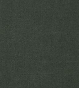 Cotton Velvet Fabric in Agave by Liberty | Jane Clayton