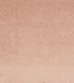 Darwin Fabric in Pink by Jane Churchill | Jane Clayton