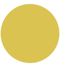 Annie Sloan English Yellow Chalk Paint | Jane Clayton