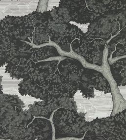 Eternal Oak Wallpaper in Ebony / First Light by Harlequin | Jane Clayton