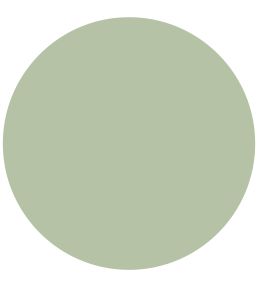 Sanderson Green Grotto Active Emulsion Paint | Jane Clayton