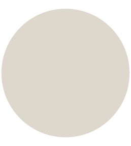 Sanderson Grey Birch Light Active Emulsion Paint | Jane Clayton