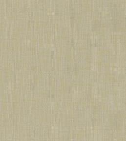 Heaton Fabric in Citron by Clarke & Clarke | Jane Clayton