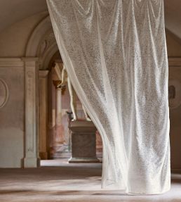 Isoku Fabric in Tusk by Black Edition | Jane Clayton