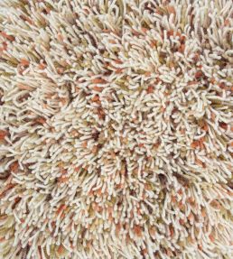 Jazz Lush Rug in Seventies Sway by Brink & Campman | Jane Clayton