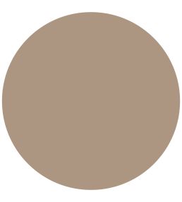 Kashmir Beige Paint in Kashmir Beige by Craig & Rose | Jane Clayton