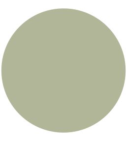 Morris & Co Leafy Arbour Chalky Matt Paint | Jane Clayton