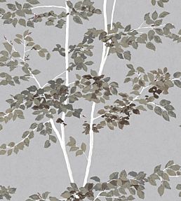 Beech Wallpaper by Lewis & Wood in Silverstone | Jane Clayton
