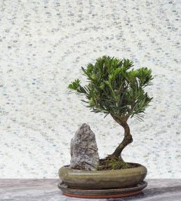 Meditation Stone Wallpaper in Stone by Cole & Son | Jane Clayton