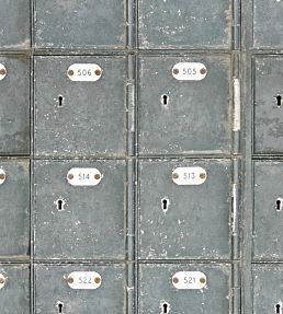 Locker Room Wallpaper by MINDTHEGAP in Dark Grey | Jane Clayton