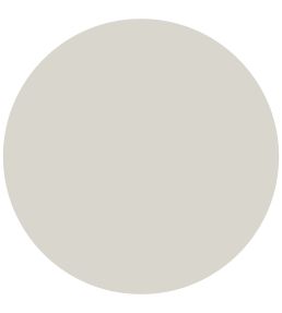 Sanderson New Silver Active Emulsion Paint | Jane Clayton