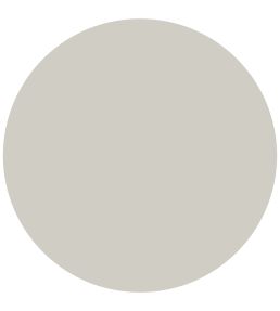 Pale Celadon Paint in Pale Celadon by Craig & Rose | Jane Clayton