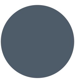 Payne's Grey Paint in Payne's Grey by Craig & Rose | Jane Clayton