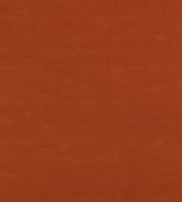 Quintessential Velvet Fabric in Rust by Threads | Jane Clayton