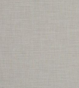Seda Fabric in Mist by Clarke & Clarke | Jane Clayton