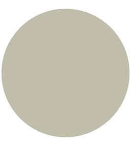 Sanderson Silver Fern Active Emulsion Paint | Jane Clayton