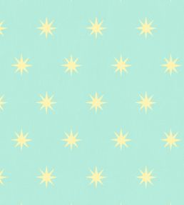 Starlight Fabric in Mint by Warner House | Jane Clayton