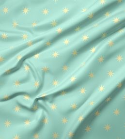 Starlight Fabric in Mint by Warner House | Jane Clayton