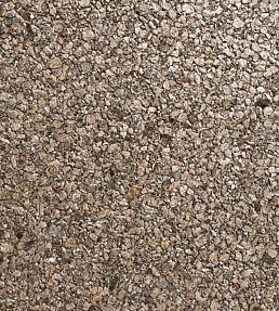 Stellar Wallpaper by Today Interiors in 678 | Jane Clayton