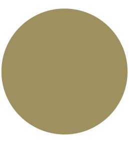 Morris & Co Twining Vine Chalky Matt Paint | Jane Clayton