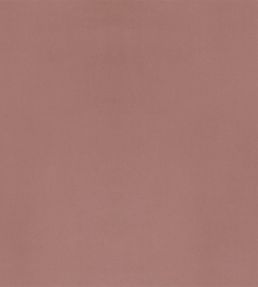 Velluto Stretto Fabric in Tea Rose by Designers Guild | Jane Clayton