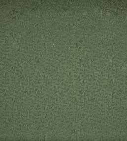 Vine Fabric in Willow by Prestigious Textiles | Jane Clayton