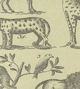 Andrew Martin Wallpaper | Jane Clayton