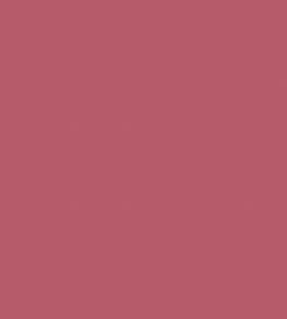 Cole & Son Fabric | Jane Clayton