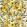 Floreale Fabric by Harlequin in Maize/Multi | Jane Clayton